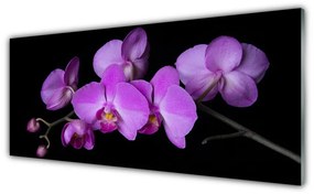 Plexisklo-obraz Vstavač Orchidej Květiny 125x50 cm