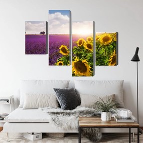 Vícedílný obraz Levandulová A Slunečnicová Pole 3D Nedostatek Nedostatek Plátno Canvas 160x100