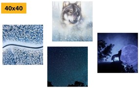 Set obrazů samotářský vlk Varianta: 4x 40x40