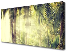 Obraz na plátně Les Palmy Stromy Příroda 125x50 cm
