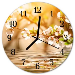 Nástěnné hodiny obrazové na skle - Voda a květy