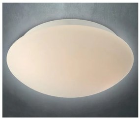 Stropní svítidlo do koupelny IBIS - 01-239 - Redo Smarter