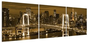 Obraz mostu (150x50 cm)