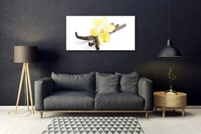 akrylový obraz Vanilka Rostlina Příroda 100x50 cm