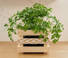 AMADEA Dřevěný obal s květináčem s motivem kosočtverčů, 17x17x15cm Český výrobek