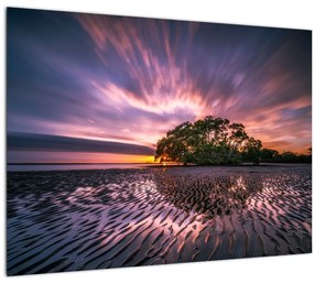 Skleněný obraz stromu na pláži (70x50 cm)