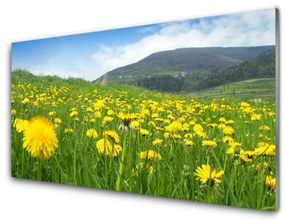 Obraz na skle Pampeliška Příroda 100x50 cm