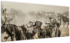 Obraz zvířat - obraz (100x40cm)