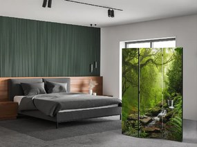 Liox Paraván deštný prales Rozměr: 135 x 180 cm