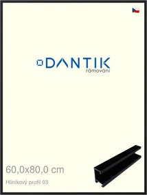 DANTIK rámeček 60x80 | ALU profil 7003 Černá matná (Plexi Čiré)