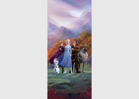 Dětská vliesová fototapeta na zed' Ledové Království Klasika, Disney | 90 x 202 cm | DFTDNV 5487