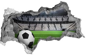 Wallmuralia Fototapeta díra na zeď 3D Míč na stadioně 95x73 cm