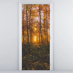 Fototapeta na dveře - Podzimní les (95x205cm)