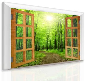 3D obraz okno zelený les Velikost (šířka x výška): 120x110 cm