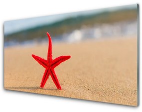 Obraz na skle Pláž Hvězdice Umění 100x50 cm