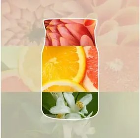 Yankee Candle Sun  Sand Signature Velký