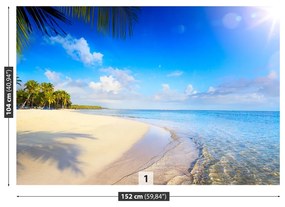 Fototapeta Tropická pláž 104x70