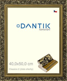 DANTIK rámeček 40x50 | Claico 2 (zlato ořechy) (Sklo Čiré)