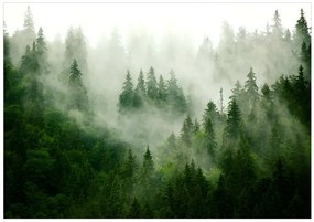 Samolepící fototapeta - Horský les (zelená) 147x105