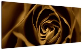Obraz růže (100x40cm)