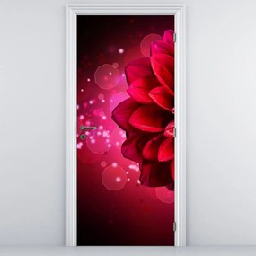 Fototapeta na dveře - Červená květina (95x205cm)