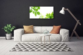 Obraz na plátně Plátky Rostlina Příroda 125x50 cm
