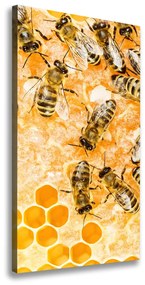 Wallmuralia Vertikální Foto obraz na plátně Pracující včely 50x100