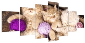 Obraz spících koťat (210x100 cm)