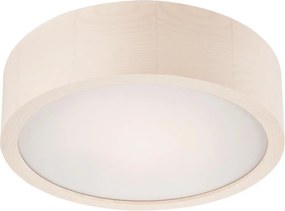 LED Stropní svítidlo LED/12W/230V