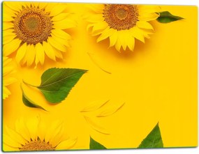 Skleněná Deska Na Krájení 52x40 Květiny Tvrzené Sklo 7v1