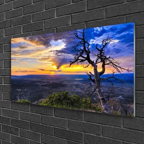 Obraz na skle Strom Zápas Slunce 140x70 cm