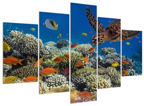 Obraz podmořského světa (150x105 cm)