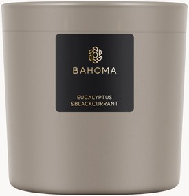 Ručně vyrobená vonná svíčka se třemi knoty Eucalyptus & Blackcurrant (freesie, gardénie, pižmo)