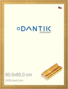DANTIK rámeček 60x80 | LYON zlatá (Plexi Čiré)
