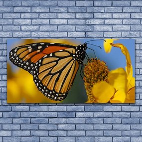 akrylový obraz Motýl Květ Příroda 120x60 cm