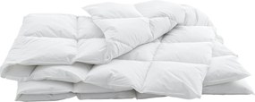 Dauny Přikrývka Swiss Dream Caro Medium Basic 80 Rozměr: 140x200 cm