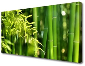Obraz na plátně Bambus Listy Rostlina 140x70 cm