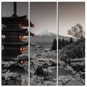 Obraz na plátně - Pohled na horu Fuji - čtverec 361FB (105x105 cm)