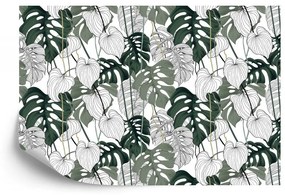 Fototapeta Monstera Odchází Hladký vinyl 152.5x104