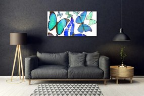 Obraz na skle Motýli Příroda 120x60 cm