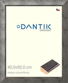 DANTIK rámeček 40x50 | Artdeco starostříbrná (Sklo Čiré)