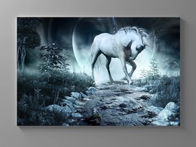 Liox Obraz jednorožec v noční krajině Rozměr: 120 x 80 cm
