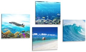 Set obrazů mořský svět Varianta: 4x 60x60