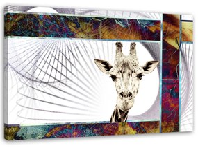 Obraz na plátně Zvířata žirafy - 90x60 cm