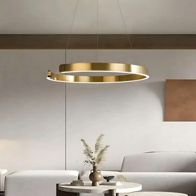 Toolight Toolight, LED stropní osvětlení 60cm, 60W, 3000K, LHJ053-CP1 C, zlatá matná, OSW-50027