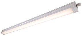 PROOF LED - 730425