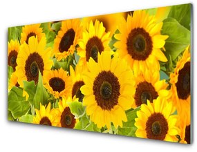 akrylový obraz Slunečnice 100x50 cm