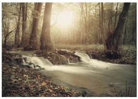 Fototapeta - Forest Cascade