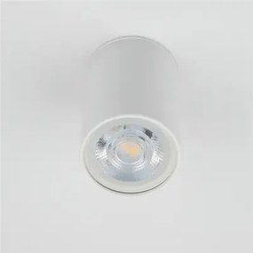 TK Lighting Top bílá / Stropní bodové svítidlo / GU10 / max. 10W