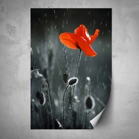 Plakát - Červený mák (80x120 cm) - PopyDesign